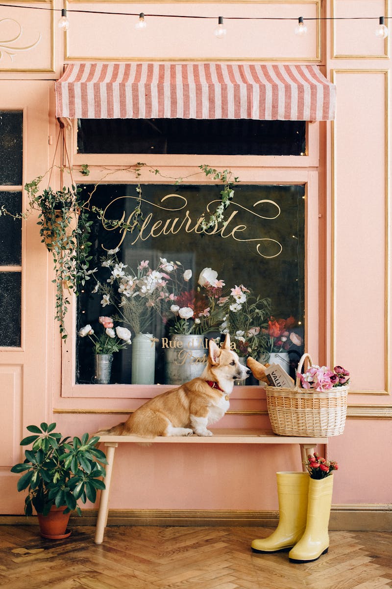 Signs That Reflect Brand Identity to Attract Customers